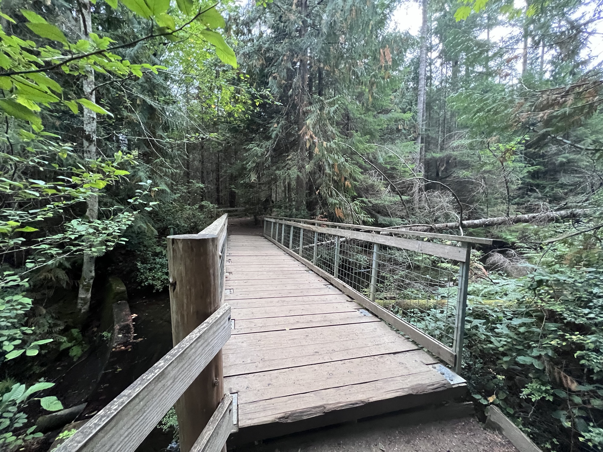 So Many Ways to Explore Dickerson Creek Falls Trail (Washington ...